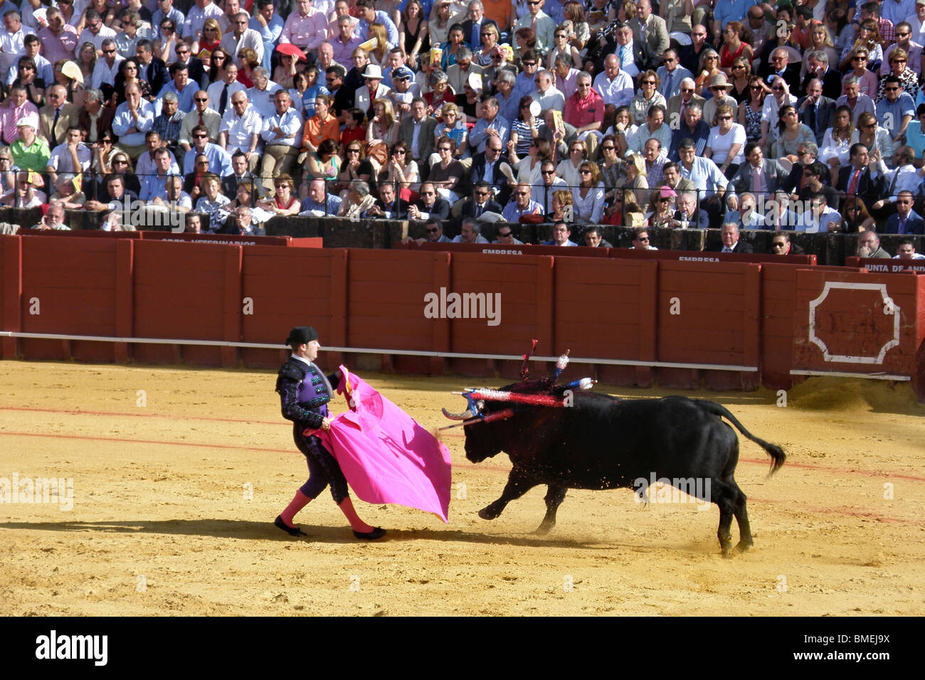 Bullfighting is violence hi-res stock photography and images - Alamy