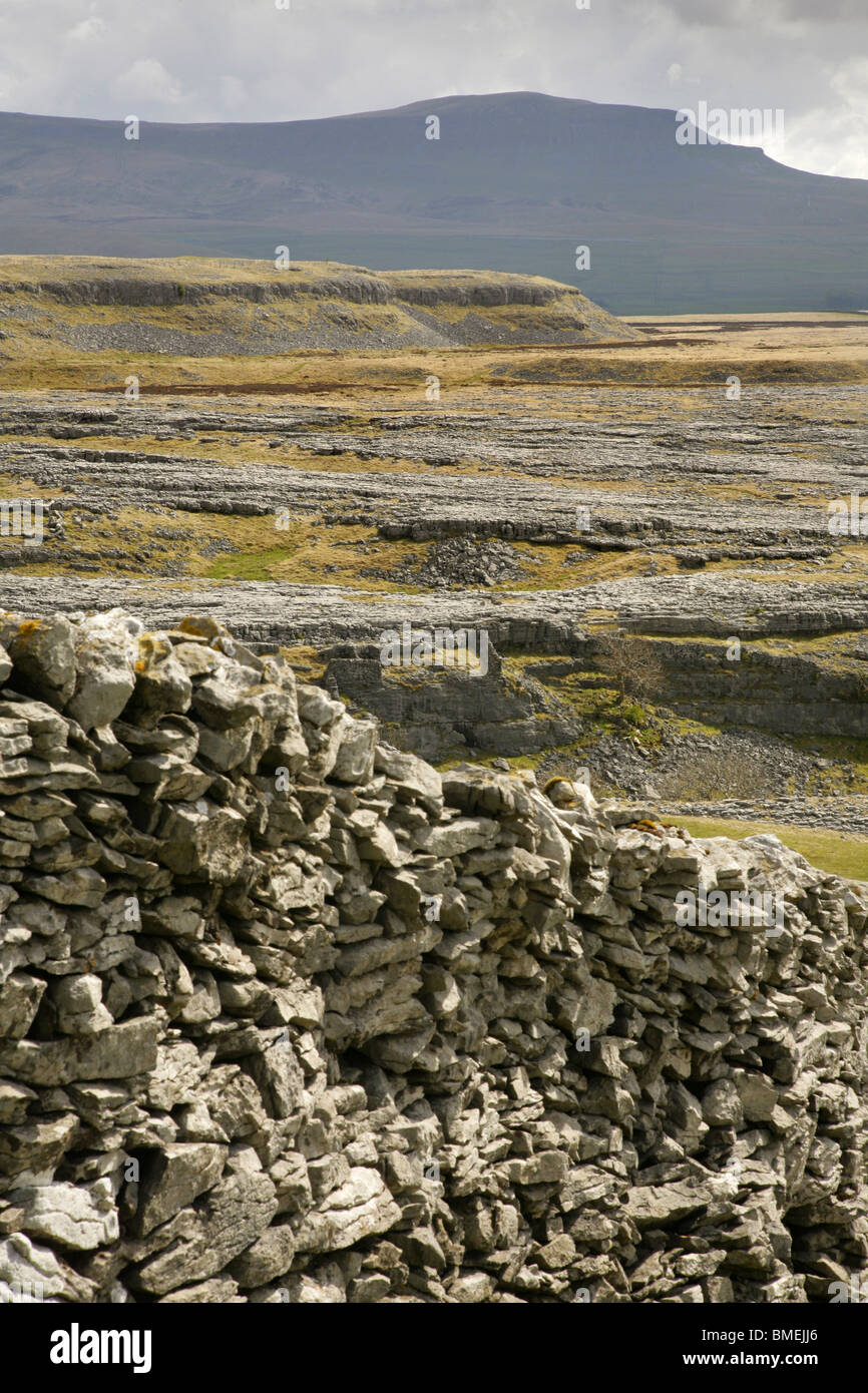 View from Crummackdale over limestone pavements to the summit of Pen-y ...