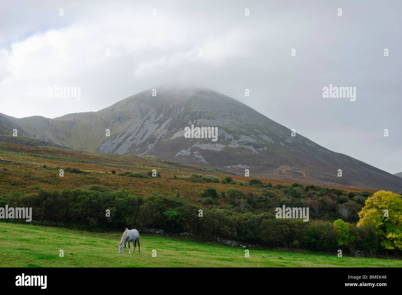 Croagh Patrick, Murrisk, County Mayo, Province of Connacht, Ireland ...