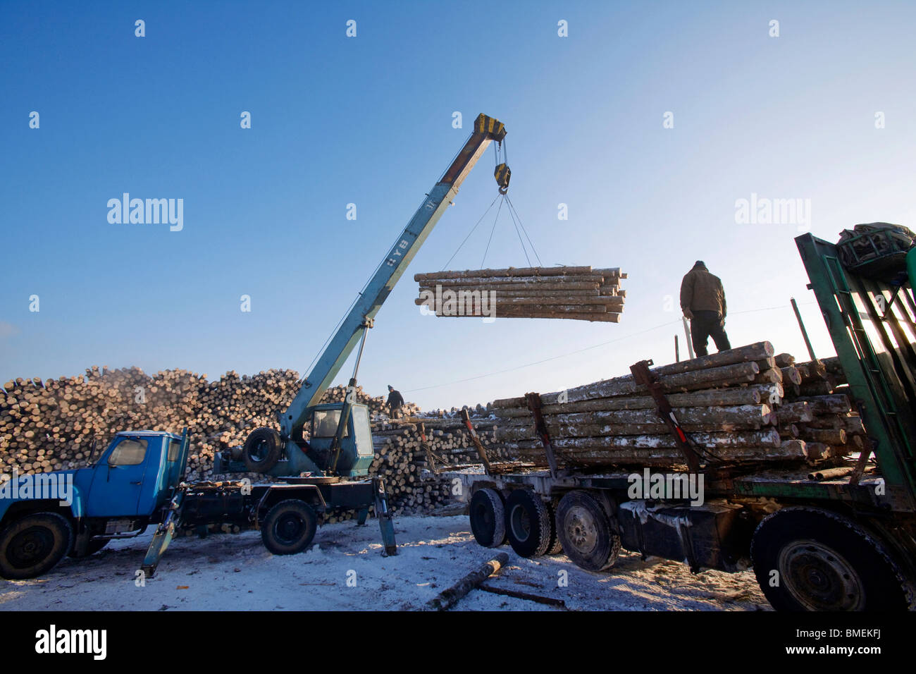 Truck crane lifting timber in local forestry farm, Jiamusi City ...
