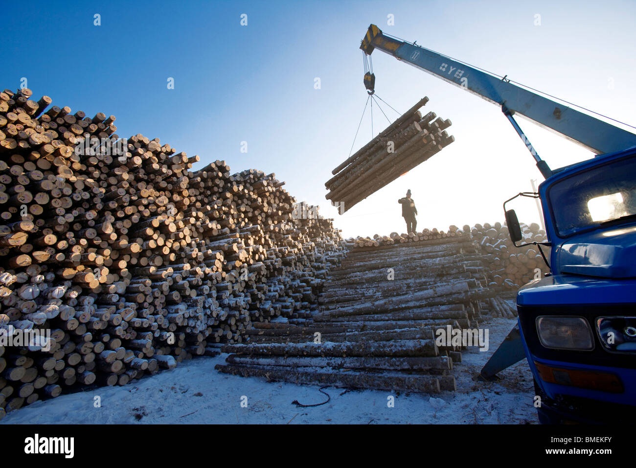 Truck crane lifting timber in local forestry farm, Jiamusi City ...