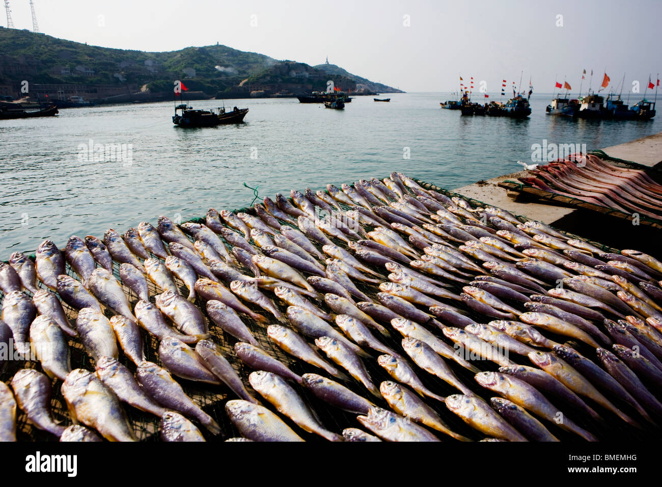 China Fish Farms