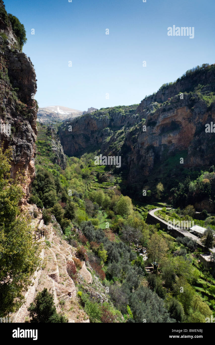 Saint Alichaa Monastery 1315AD altitude 980m Looking Over The Wadi ...