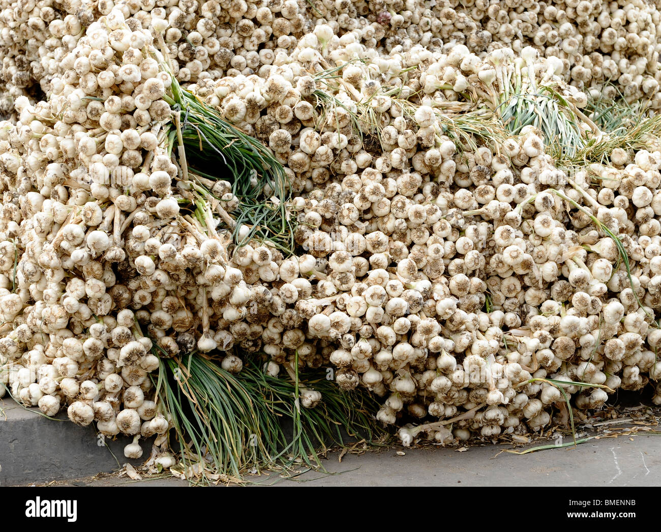 Cairo egypt garlic hi-res stock photography and images - Alamy