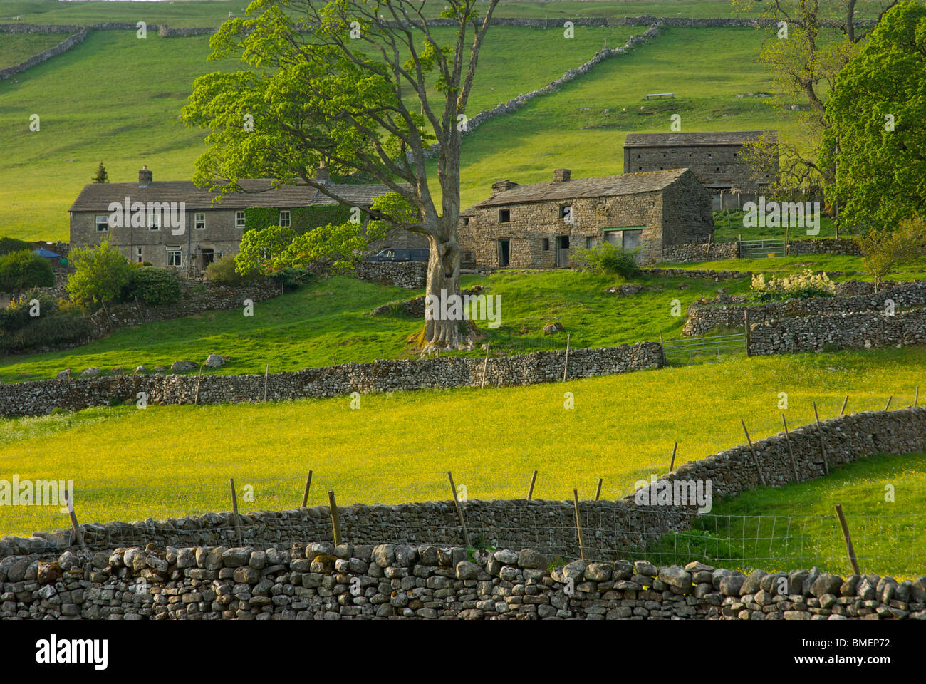 Deepdale Farm, Upper Wharfedale, Yorkshire Dales National Park, North ...