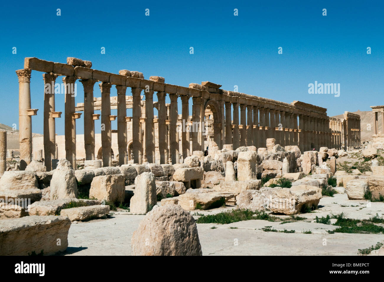 Greco persia hi-res stock photography and images - Alamy