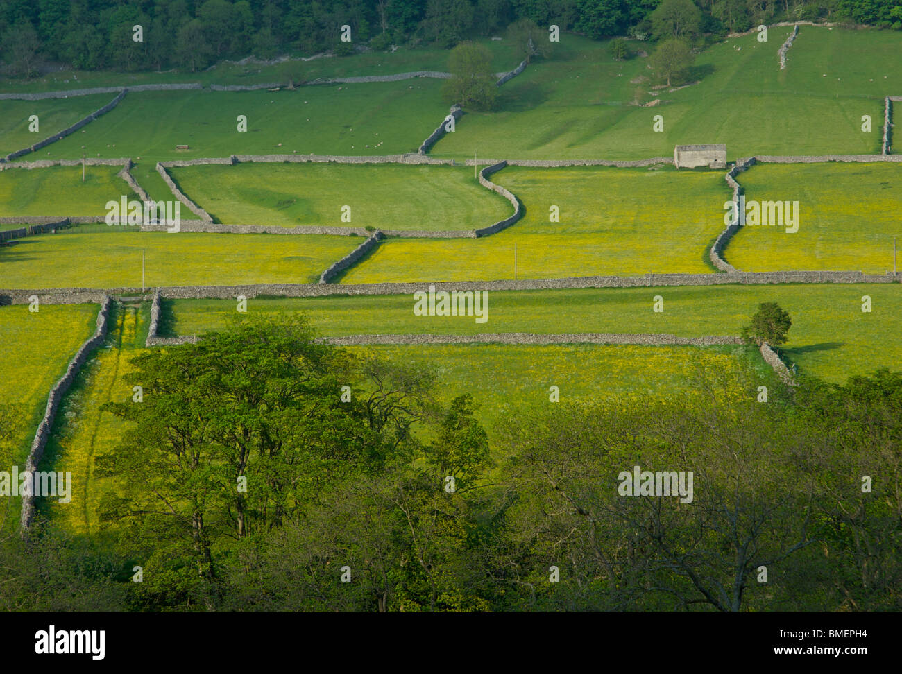 Springtime landscape, Wharfedale, Yorkshire Dales, England UK Stock ...