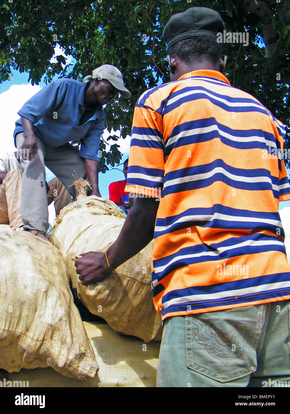 Haitian men hi-res stock photography and images - Alamy