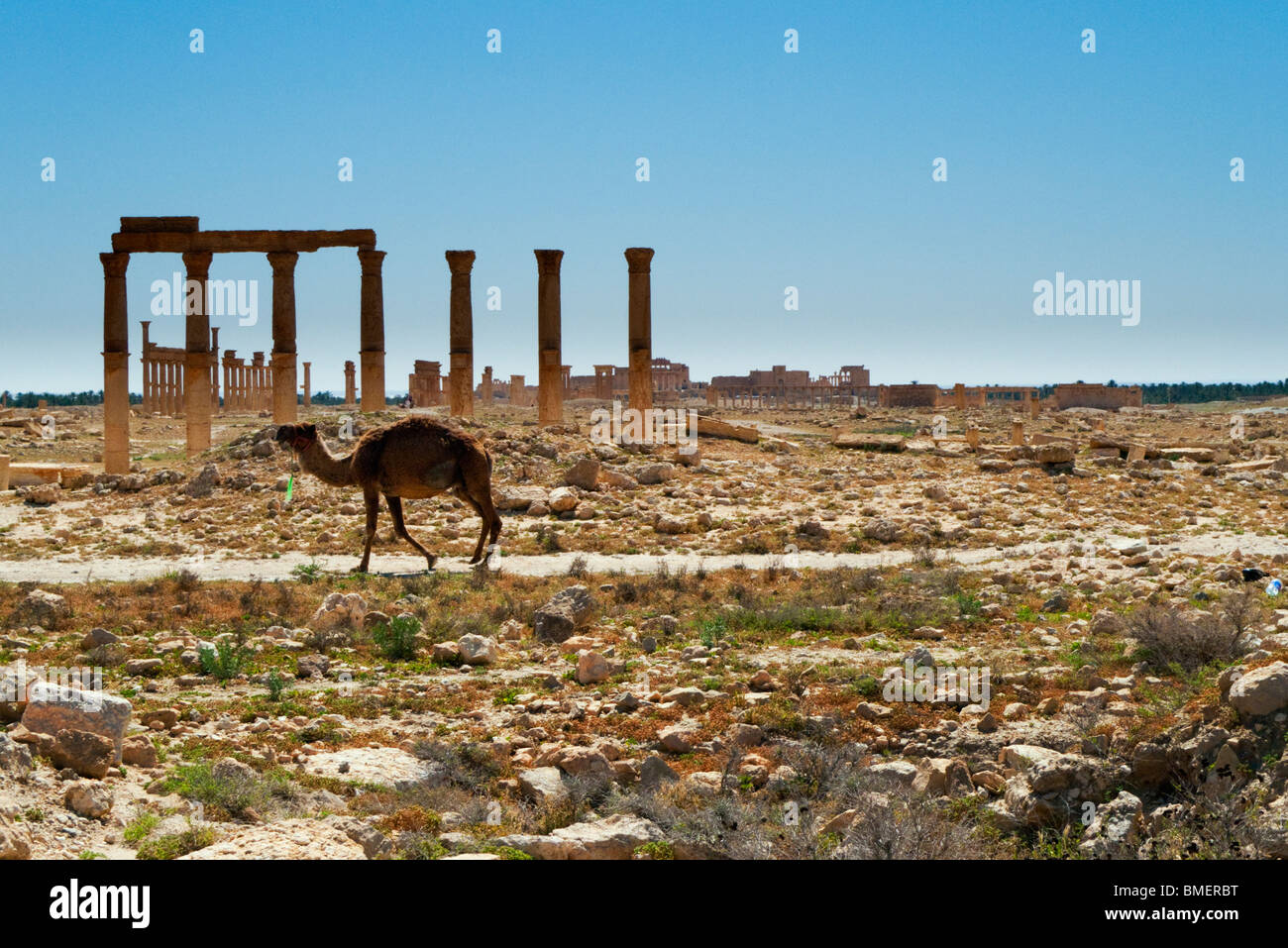 Palmyra Or Tadmur The Ancient Temple Ruins Of Ba'al From 1st To 2nd ...