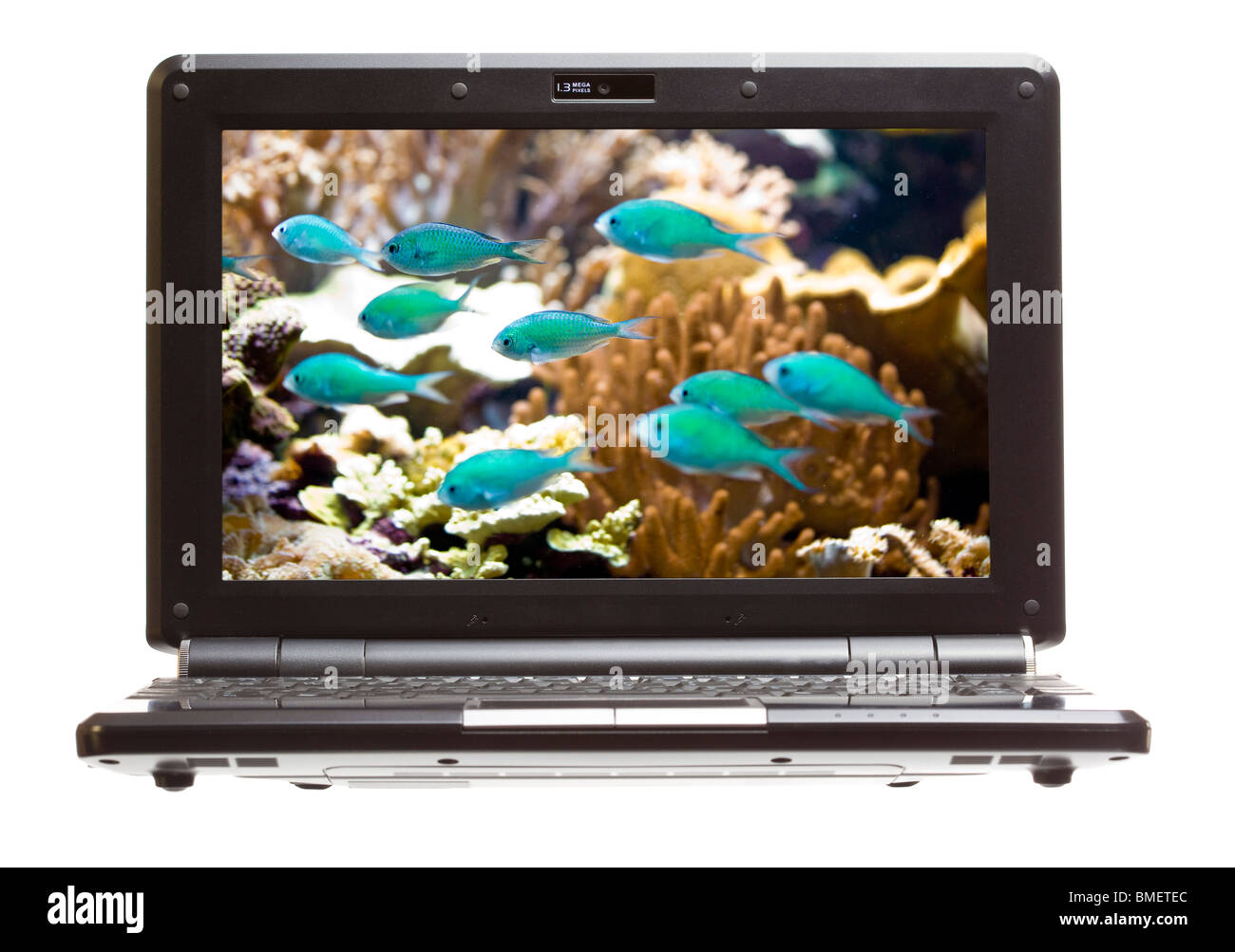 image of a new small netbook isolated over a white background Stock ...