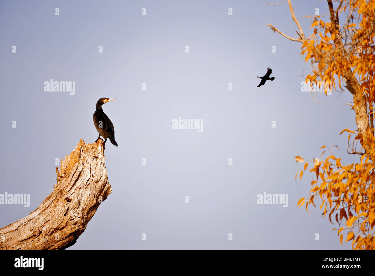 Xayar county hi-res stock photography and images - Alamy