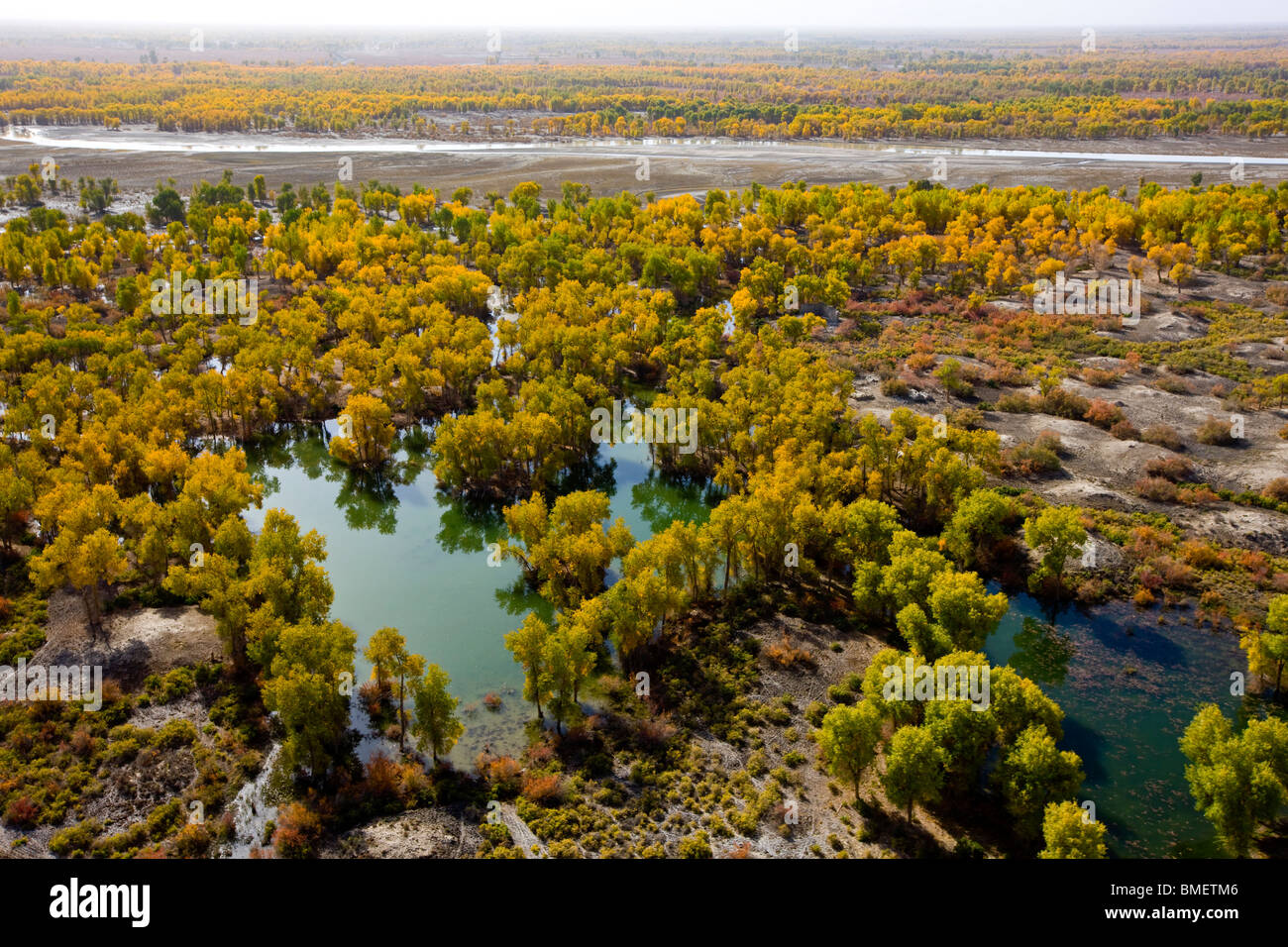 Aerial view euphrates poplar forest hi-res stock photography and images ...