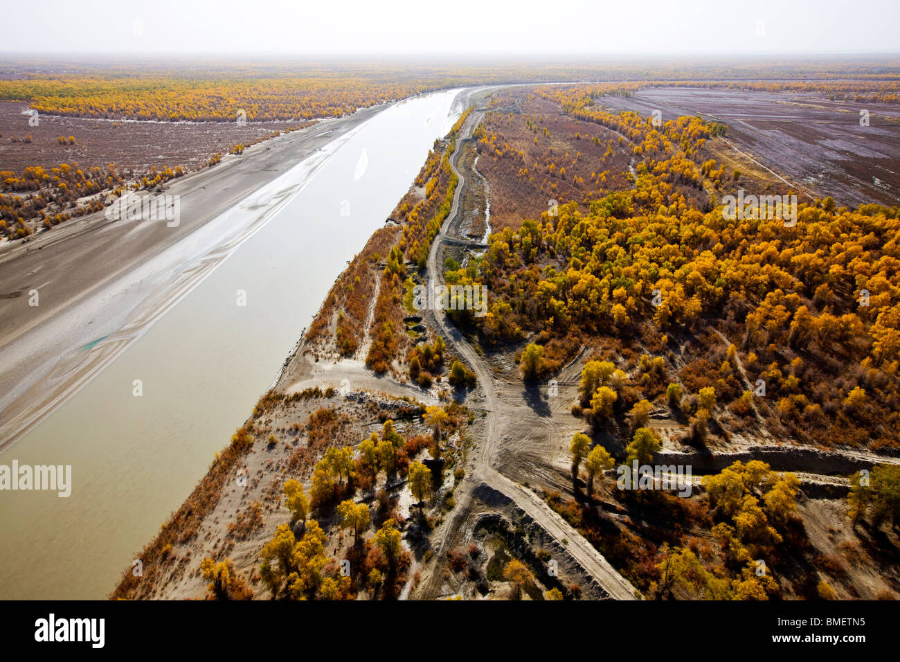 Aerial View Of Euphrates Poplar Forest In Xayar County Aksu Prefecture