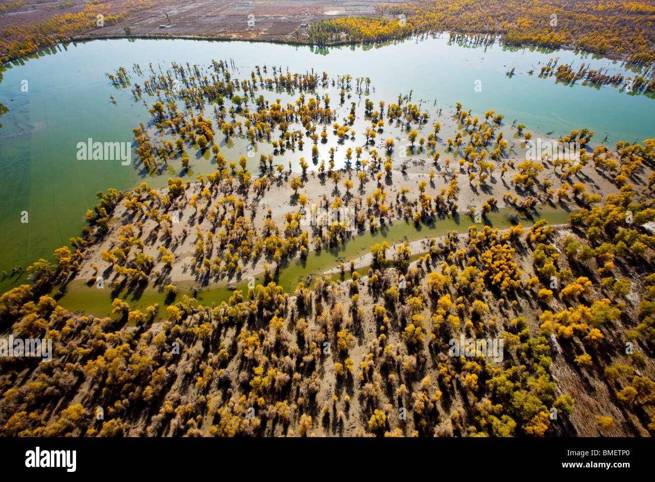 Aerial view euphrates poplar forest hi-res stock photography and images ...