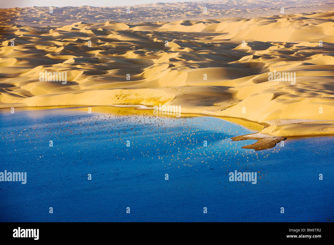 Lake in Taklamakan Desert, Ruoqiang County, Bayingolin Mongol ...