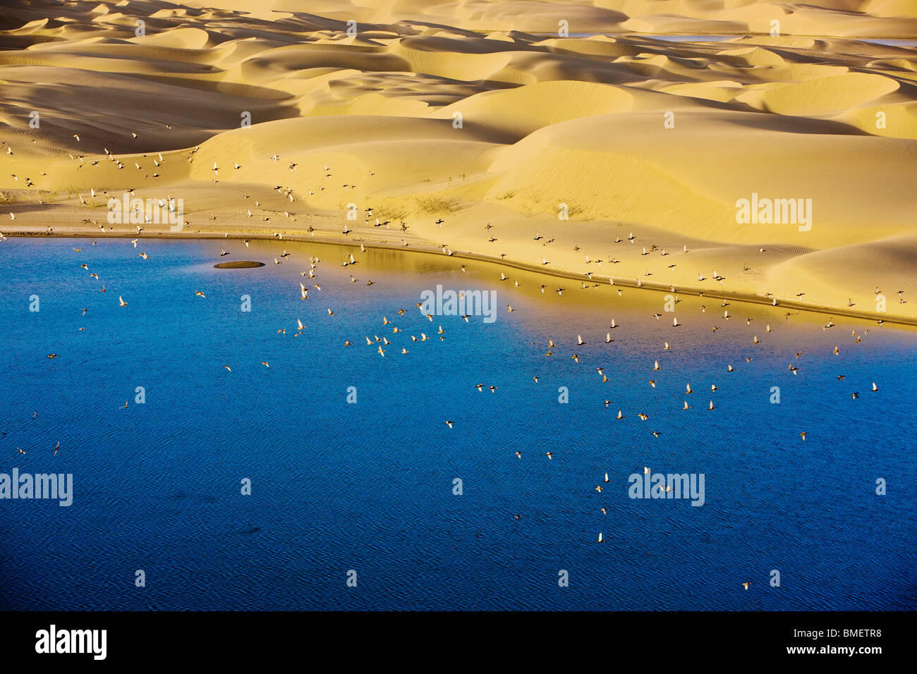 Lake in Taklamakan Desert, Ruoqiang County, Bayingolin Mongol ...