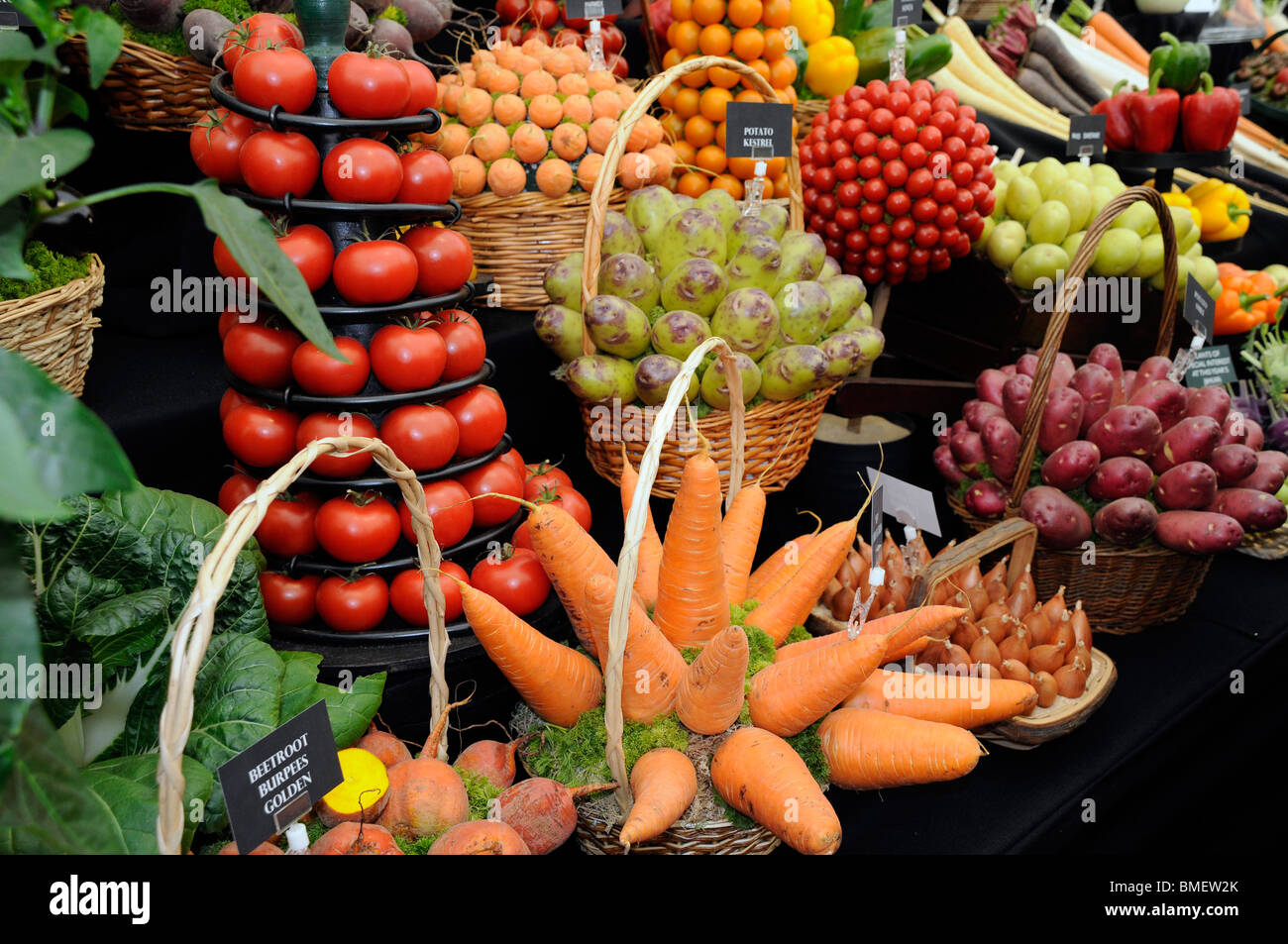 Annual Chelsea Flower Show - Medwyns of Anglesey award winning display ...