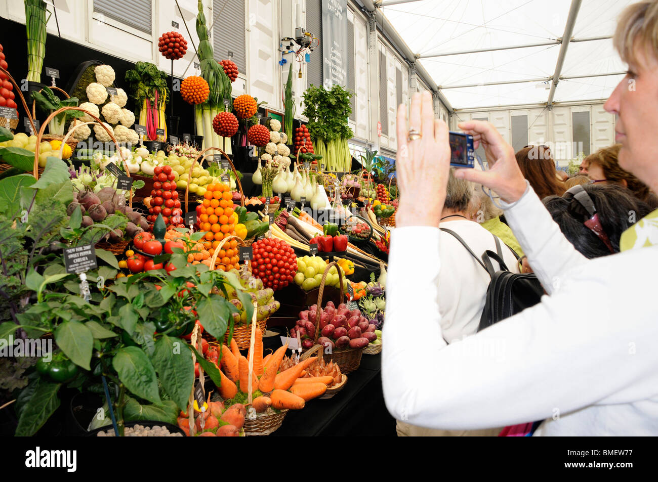 Annual Chelsea Flower Show - Medwyns of Anglesey award winning display ...