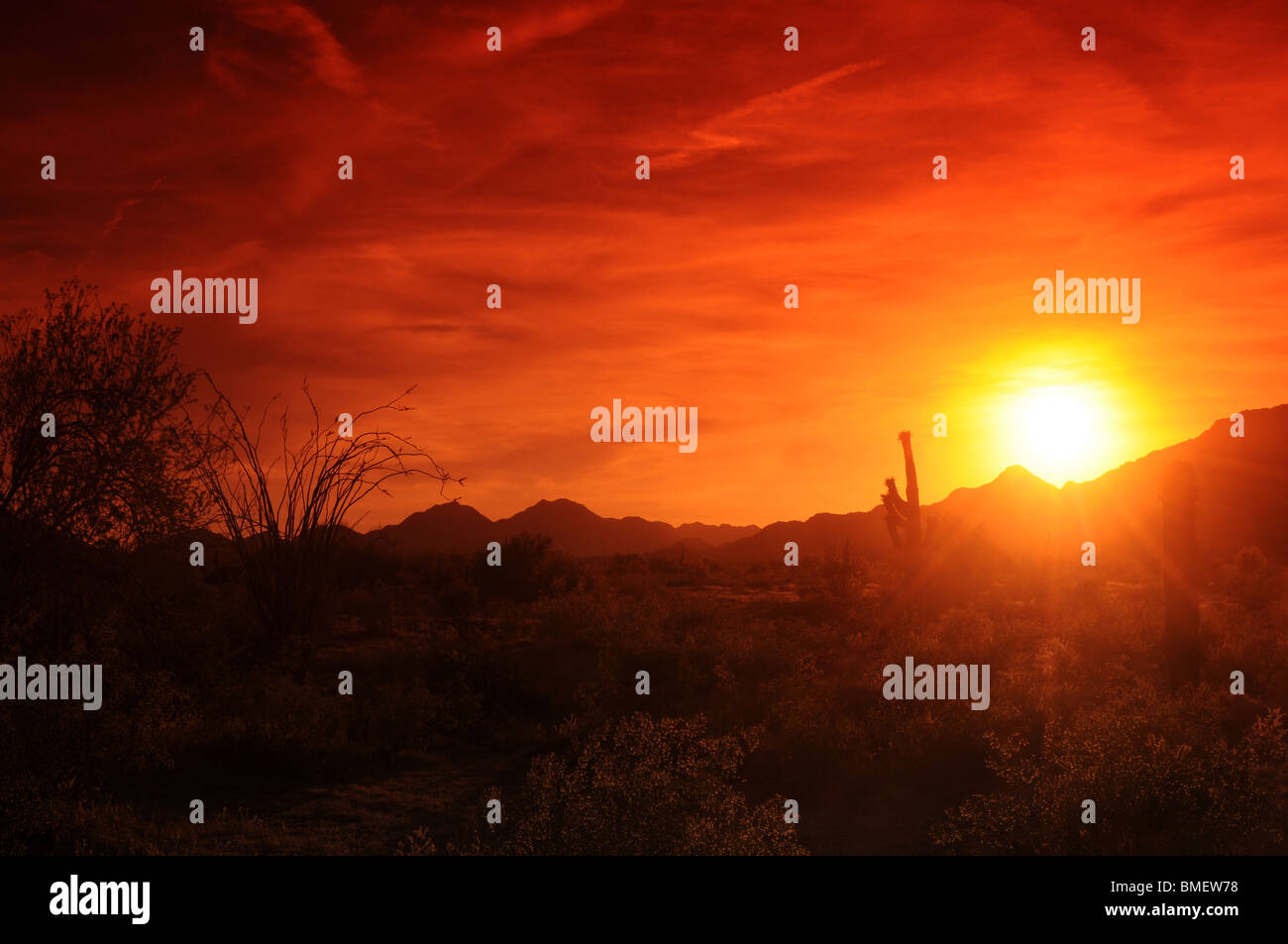 Arizona desert sunset hi-res stock photography and images - Alamy