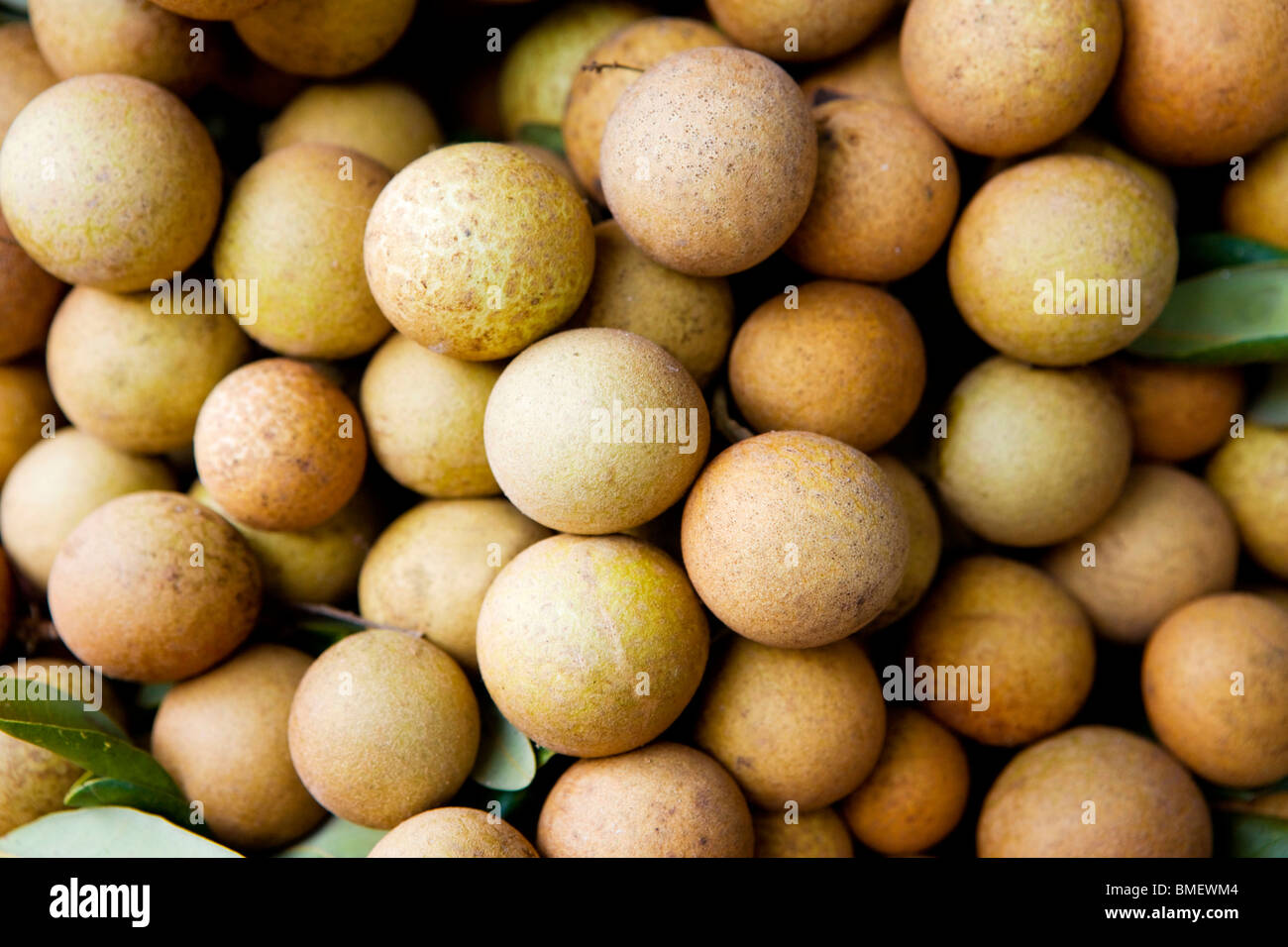 Pile of Longan, China Stock Photo - Alamy