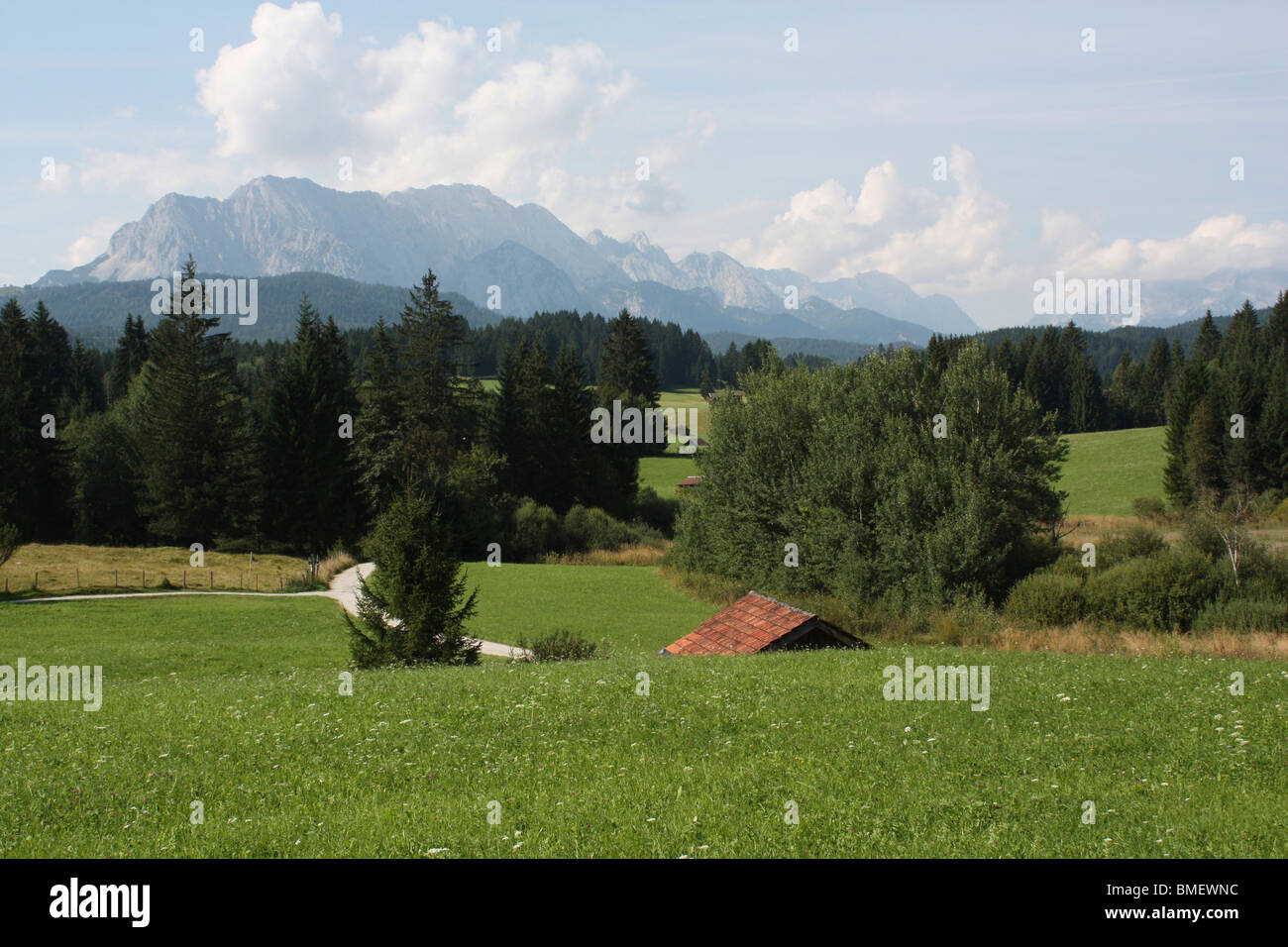 Lush Green Alpine meadow views in Bavaria, Germany looking towards the ...
