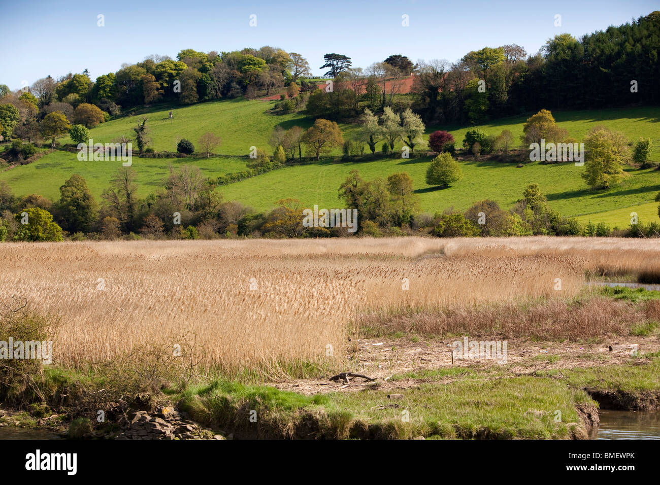 Traditional thatching hi-res stock photography and images - Alamy