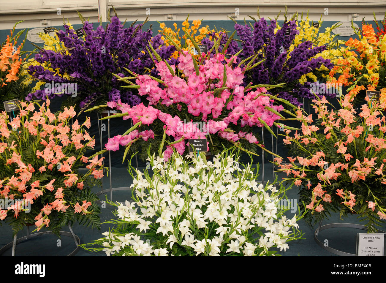 Annual Chelsea Flower Show Public viewing day, Friday 28th May, 2010 ...