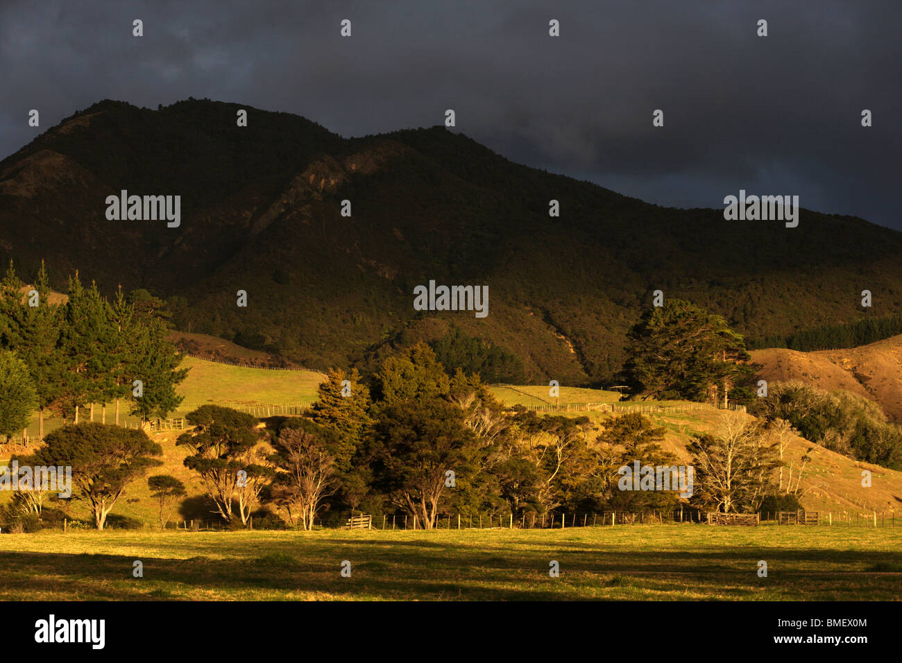 Sunset and a dramatic sky over landscape in the Coromandel Peninsula in ...
