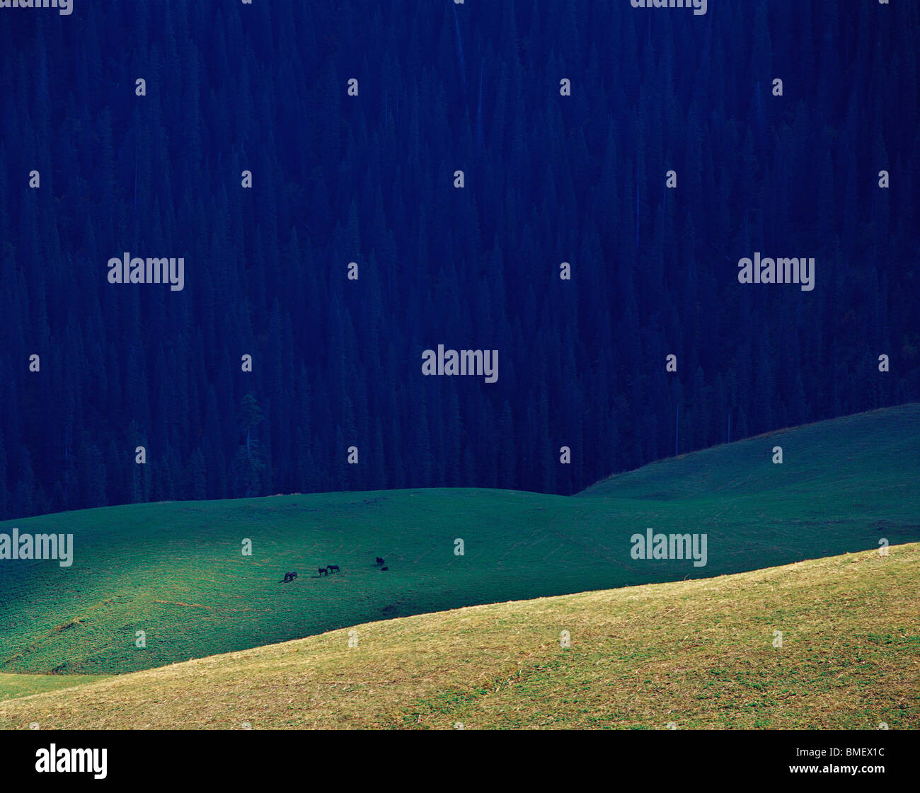 Magnificent Tianshan Mountain, Xingjiang Uyghur Antonomous Region ...