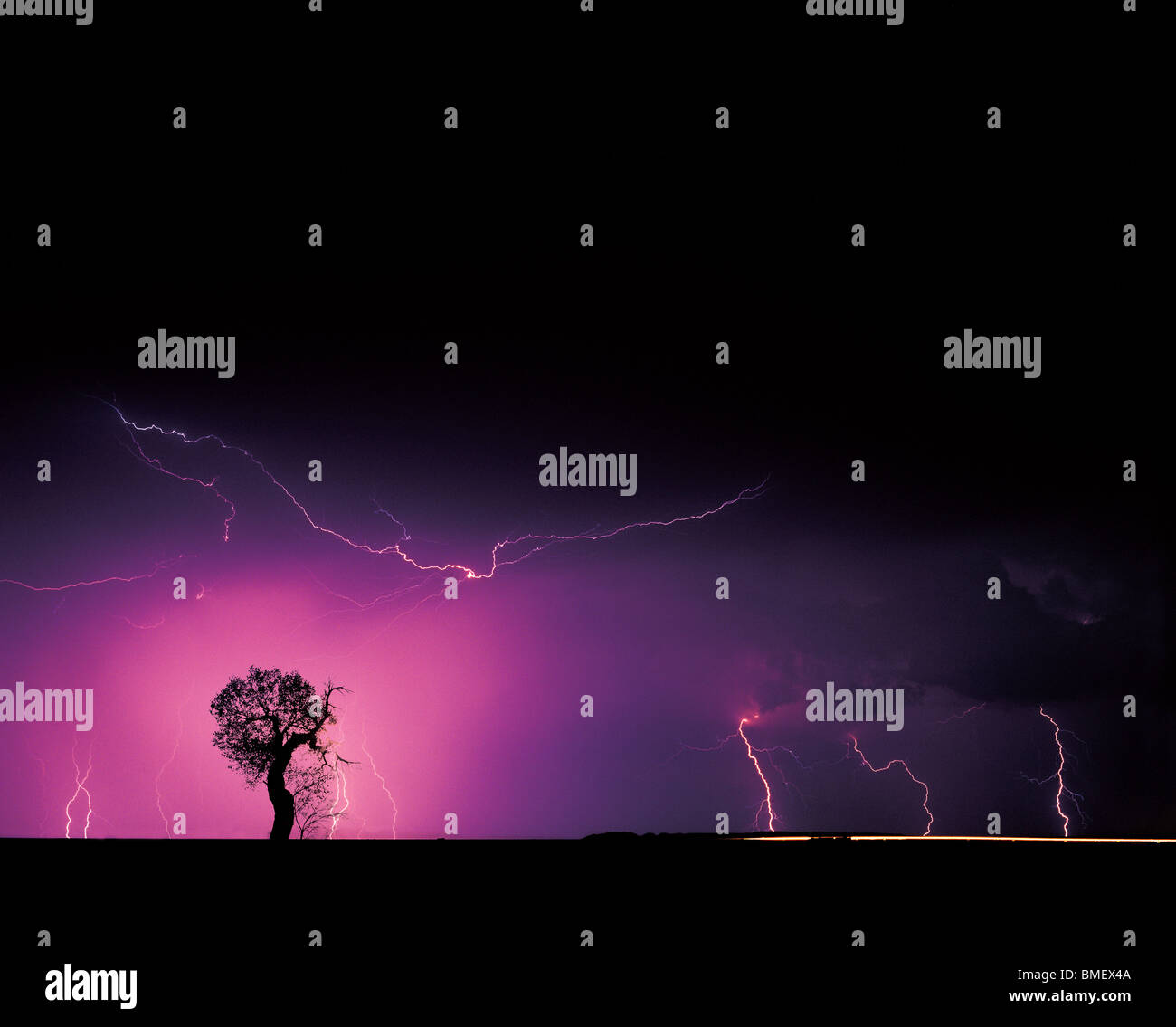 Magnificent lightning, Tarim Euphrates Poplar National Nature Reserve ...