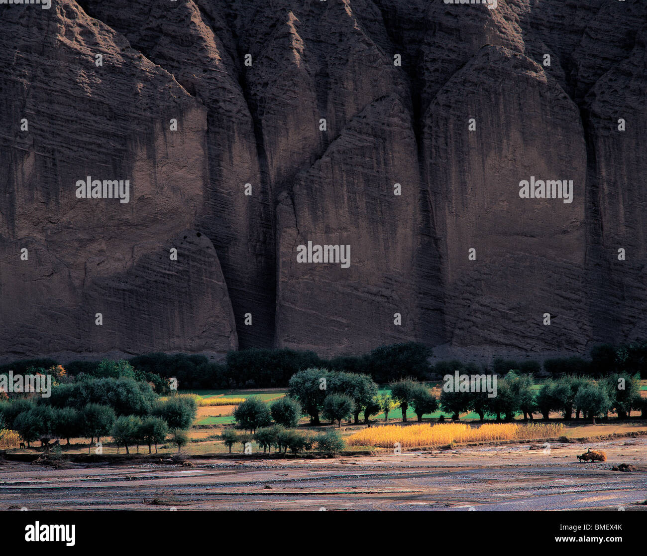 Kuqa Stock Photos & Kuqa Stock Images - Alamy