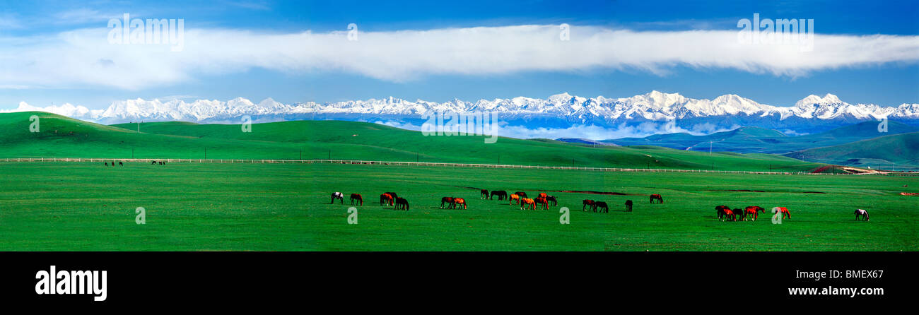 Bayanbulak Grasslands, Bayingolin Mongol Autonomous Prefecture ...