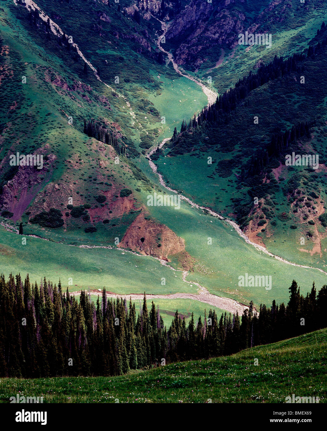 Tian Shan in summer, Xinjiang Uyghur Autonomous Region, China Stock ...