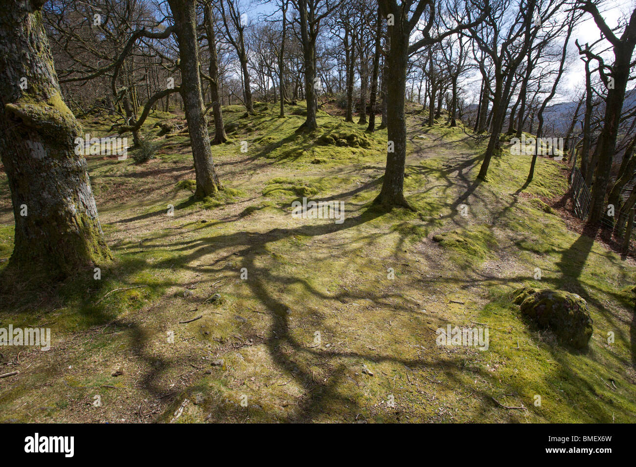 Above derwent hi-res stock photography and images - Alamy