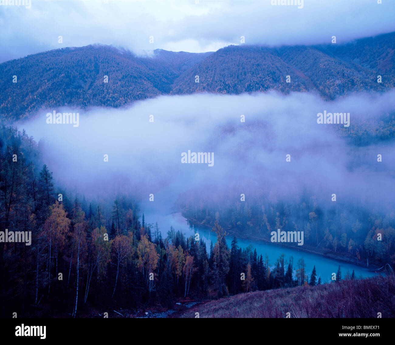 Burqin hi-res stock photography and images - Alamy