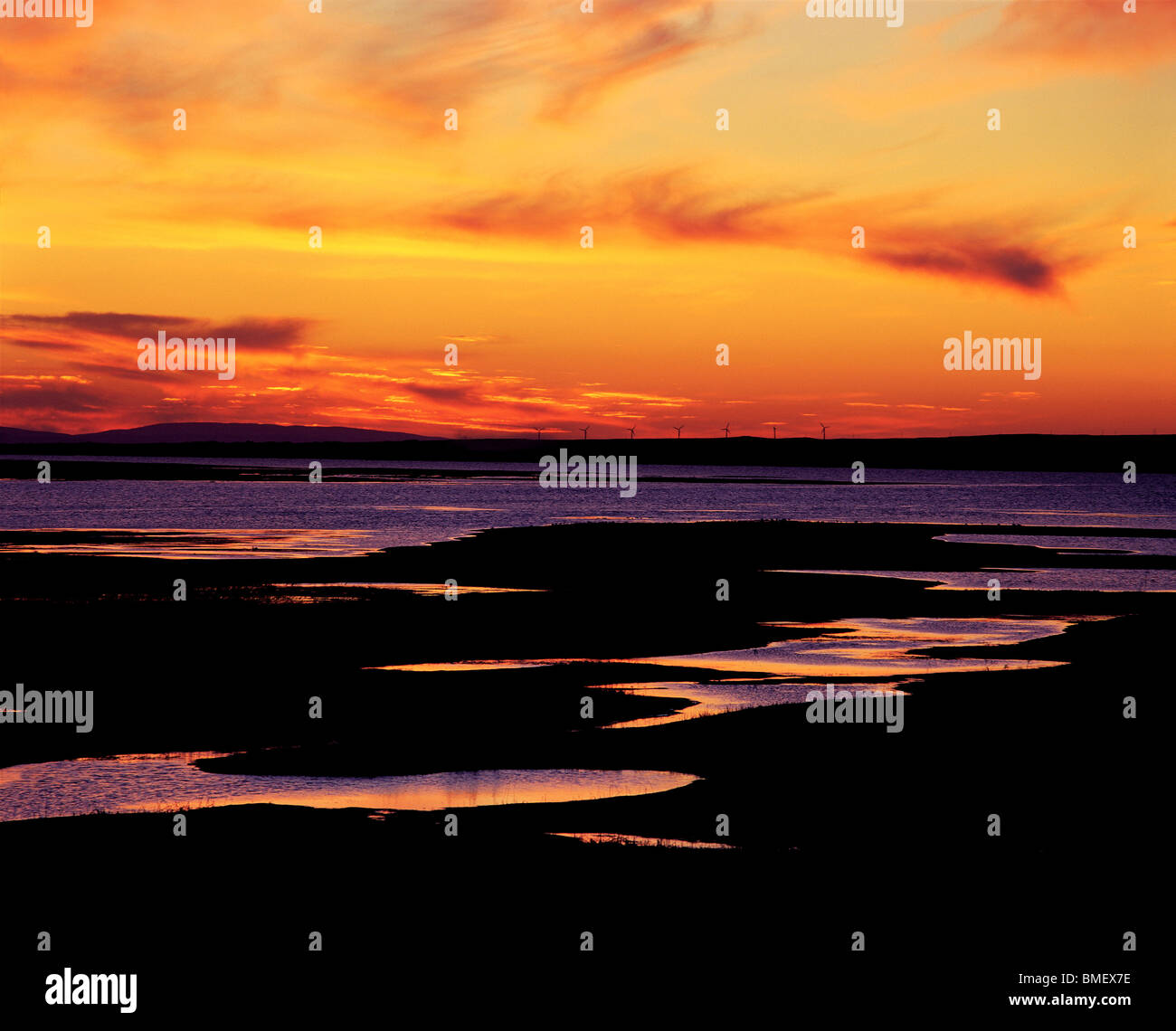 Swan Lake, Bayanbulak Grasslands, Bayingolin Mongol Autonomous ...