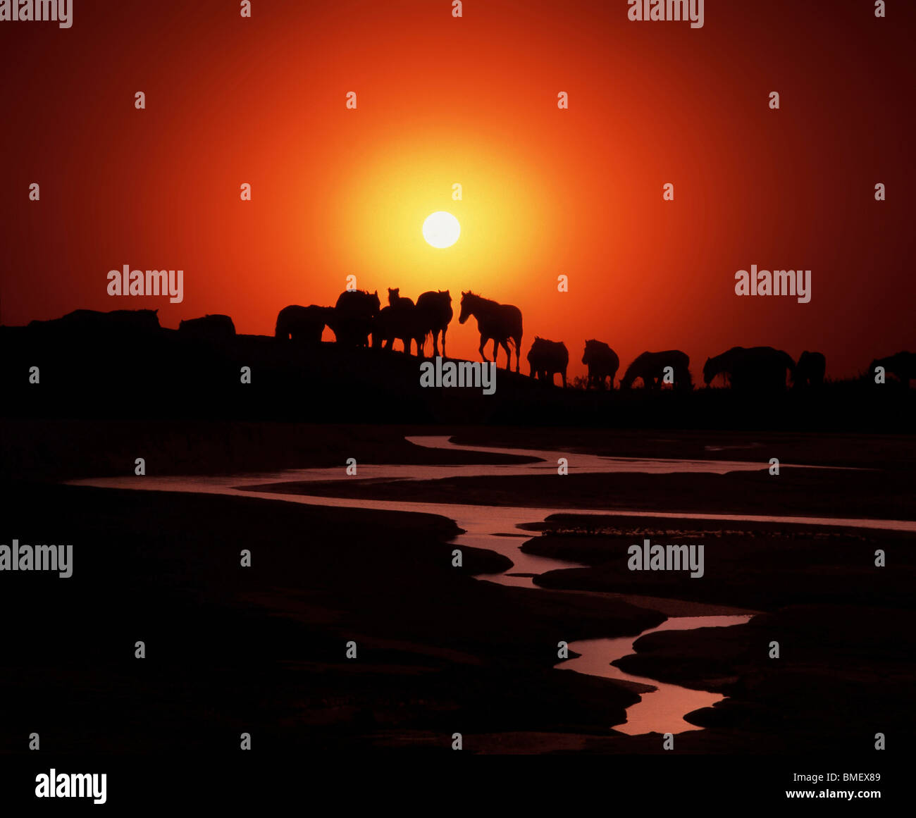 Swan Lake in sunset, Bayanbulak Grasslands, Bayingolin Mongol ...