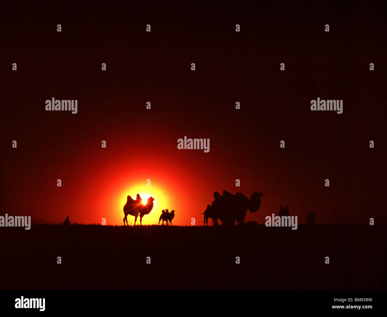 Swan Lake in sunset, Bayanbulak Grasslands, Bayingolin Mongol ...