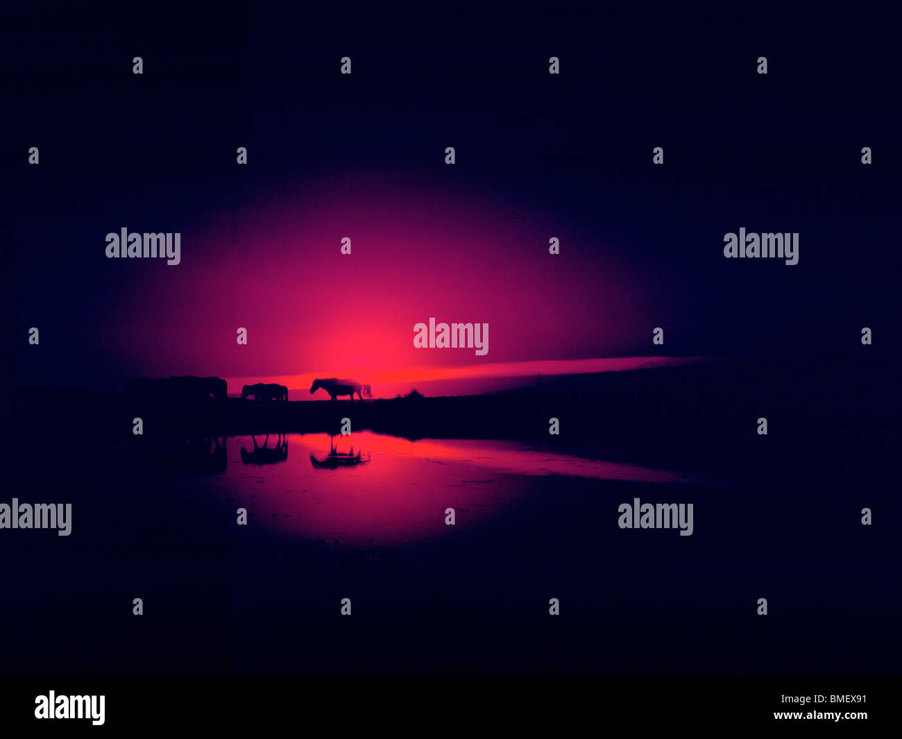 Magnificent Swan Lake at night, Bayanbulak Grasslands, Bayingolin ...