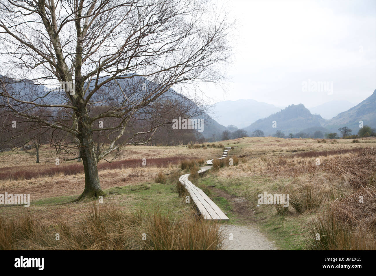 Path by Derwent Water Lake DIstrict Cumberland England hills trees rain ...