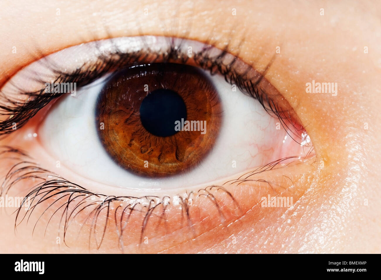 Eyeball hi-res stock photography and images - Alamy