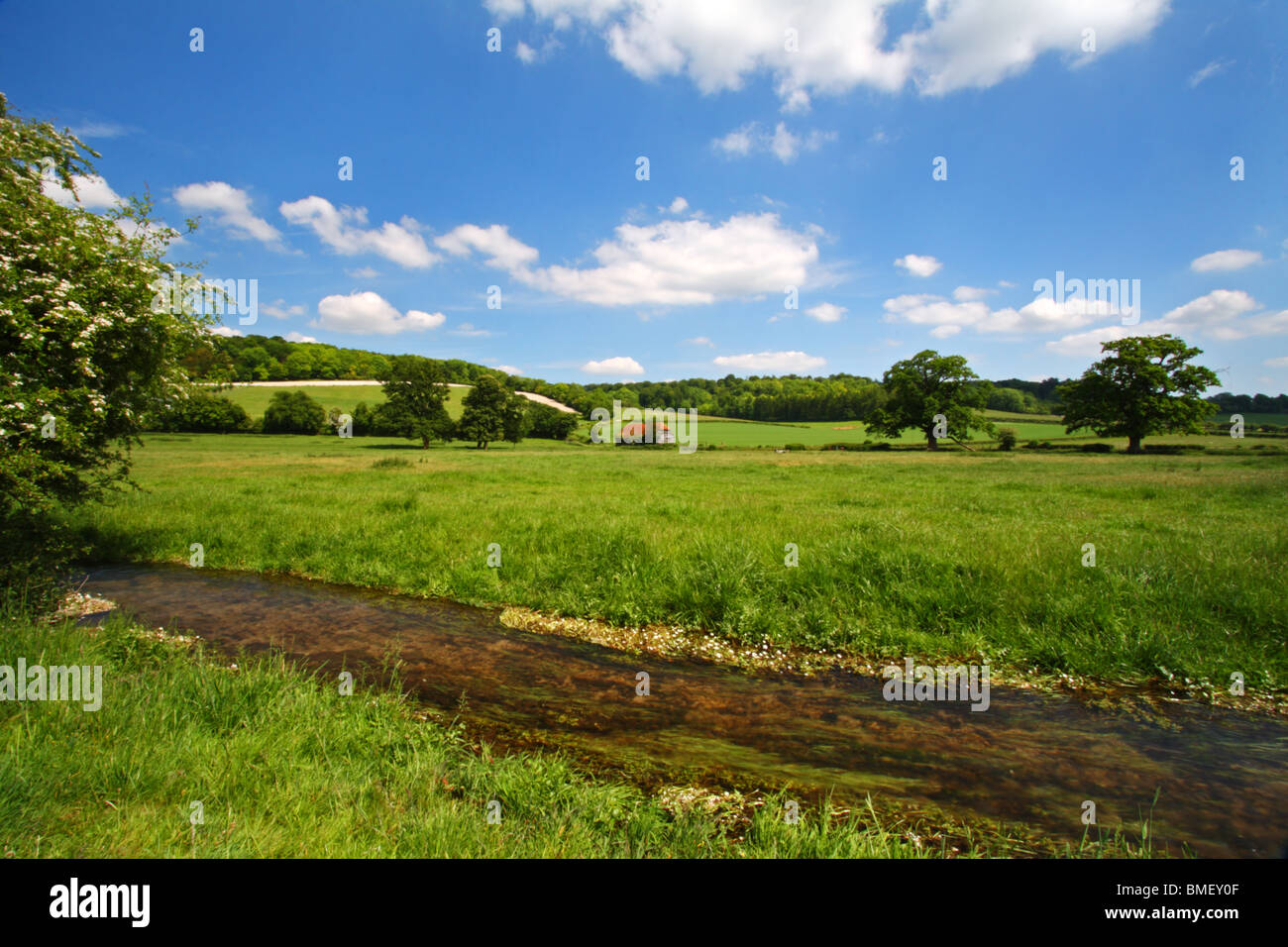 Hambleden Brook, a chalk stream in the Chilterns, flowing through a ...