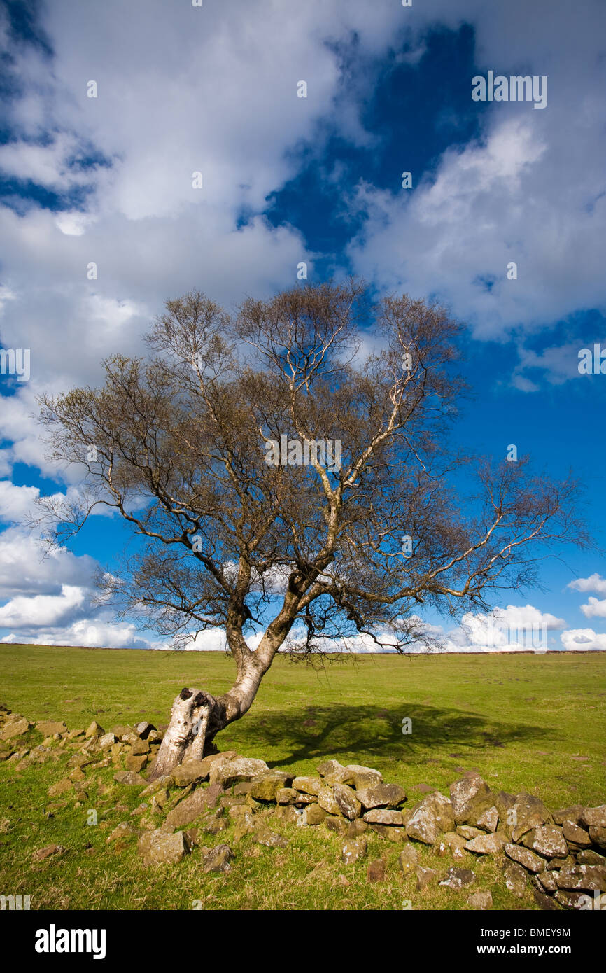 East moors hi-res stock photography and images - Alamy