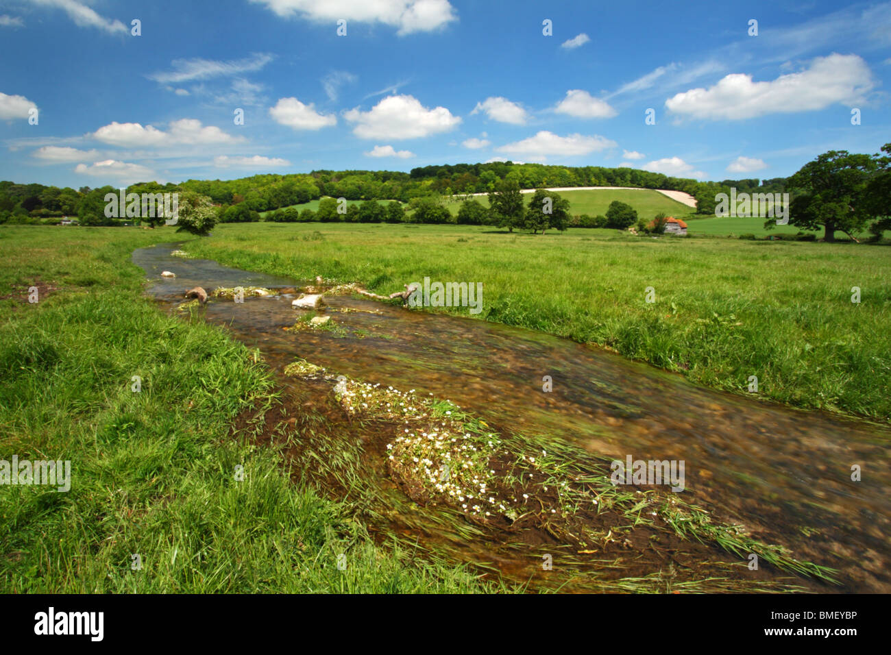 Hambleden Brook, a chalk stream in the Chilterns, flowing through a ...