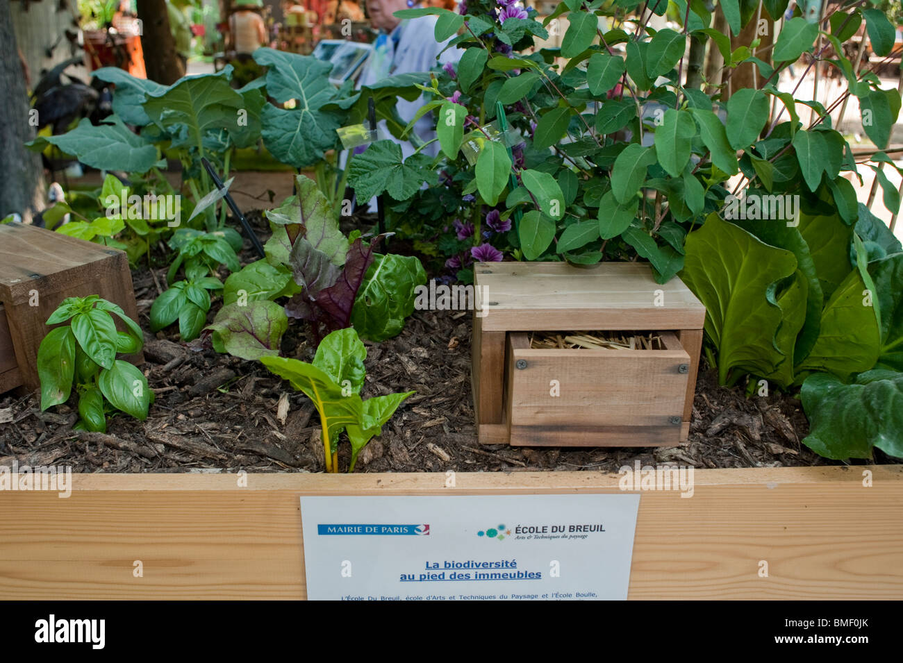 Biodiversity display gardens hi-res stock photography and images - Alamy