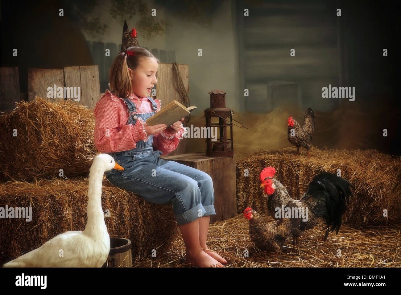 A Girl Reading A Story Book To Animals In The Barn Stock Photo - Alamy