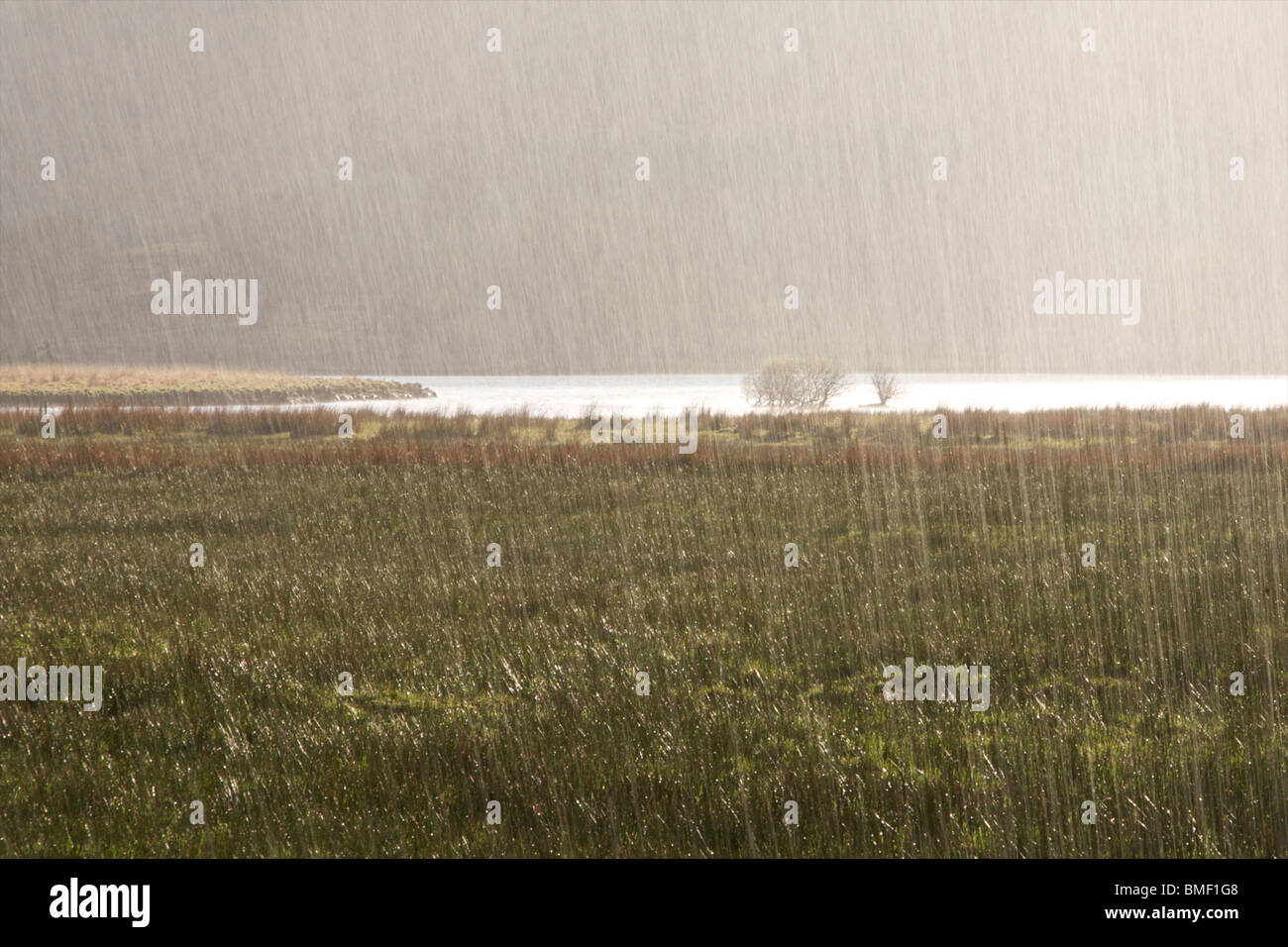 Derwent Water Lake DIstrict Cumberland England hills trees rain mist ...