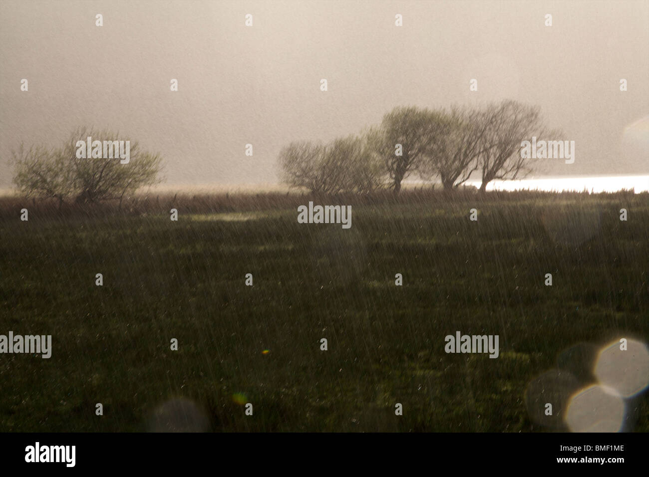 Derwent Water Lake DIstrict Cumberland England hills trees rain mist ...