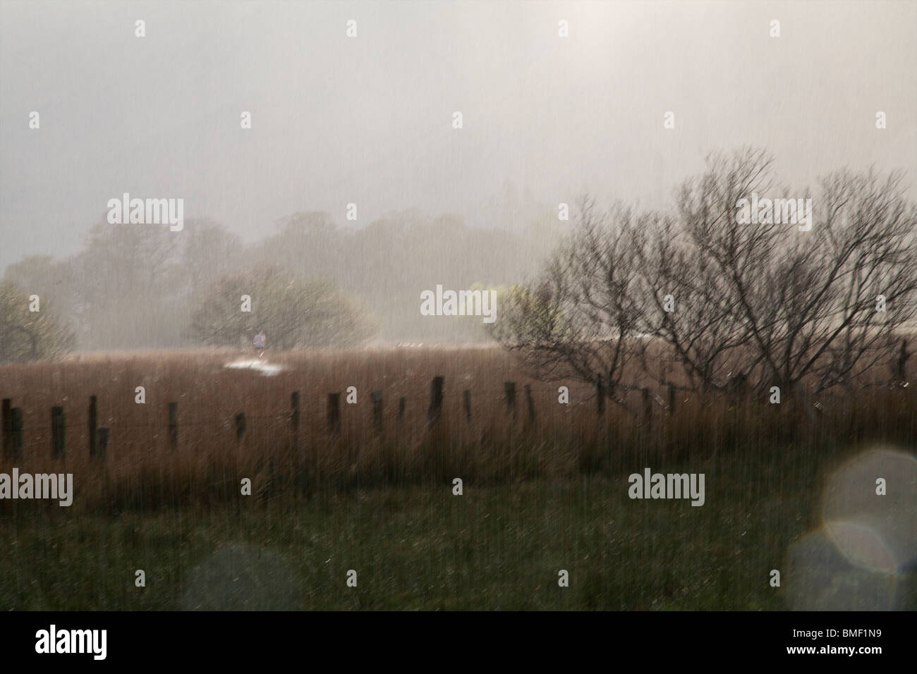 Derwent Water Lake DIstrict Cumberland England hills trees rain mist ...