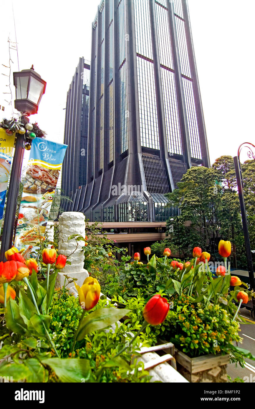 Tulip hong kong hi-res stock photography and images - Alamy